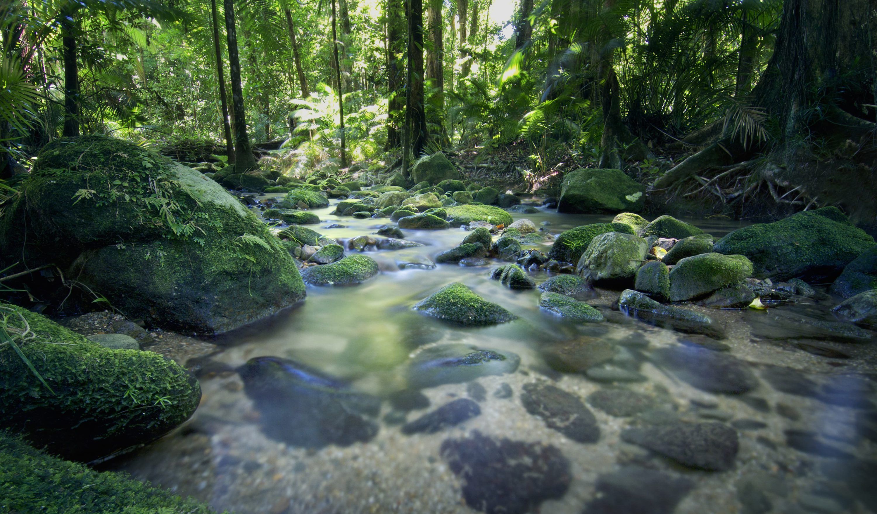 Cairns Tours and Attractions | City Sider Cairns